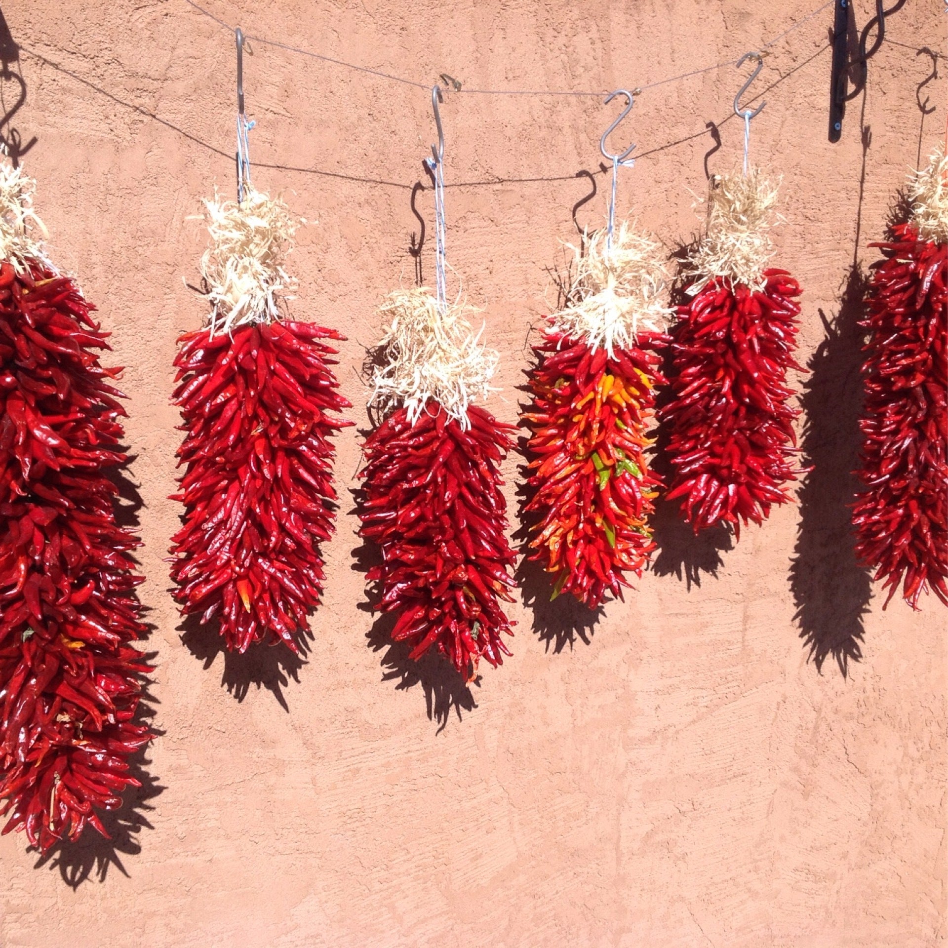 Shop All | Santa Fé Honey Salón